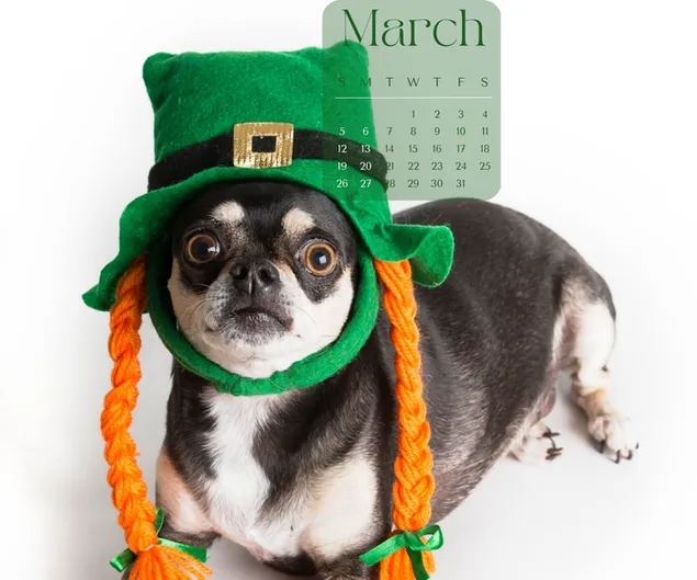 March 2023 Calendar, Saint Patrick's Day themed HD wallpaper download
